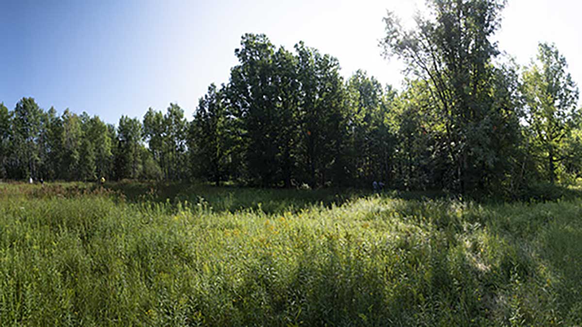 Cadet International Camporee Camporee News