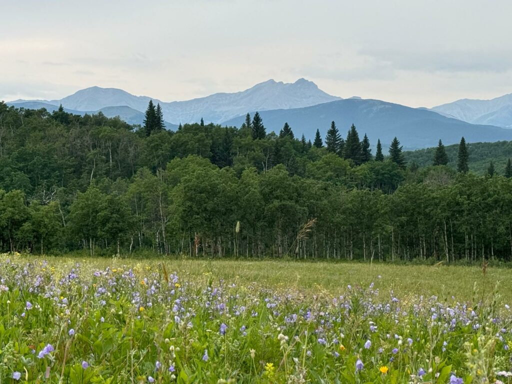 Cadet International Camporee